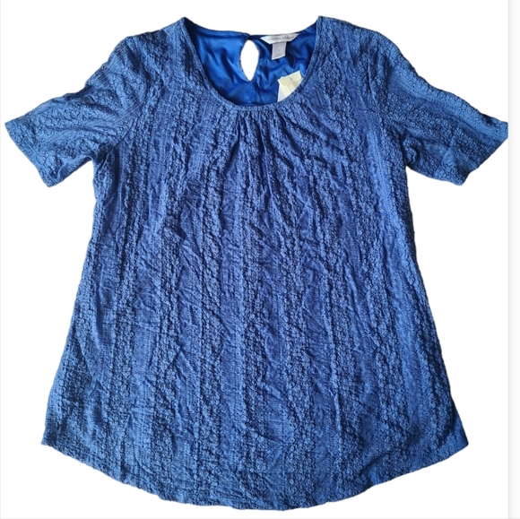 Christopher & Banks | Tops | Nwt Christopher Banks Blue Top Blouse ...